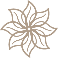 Mens Collection - Complete Grooming Bundle – Gesare Naturals